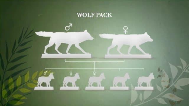 Werewolf Pack Ranks