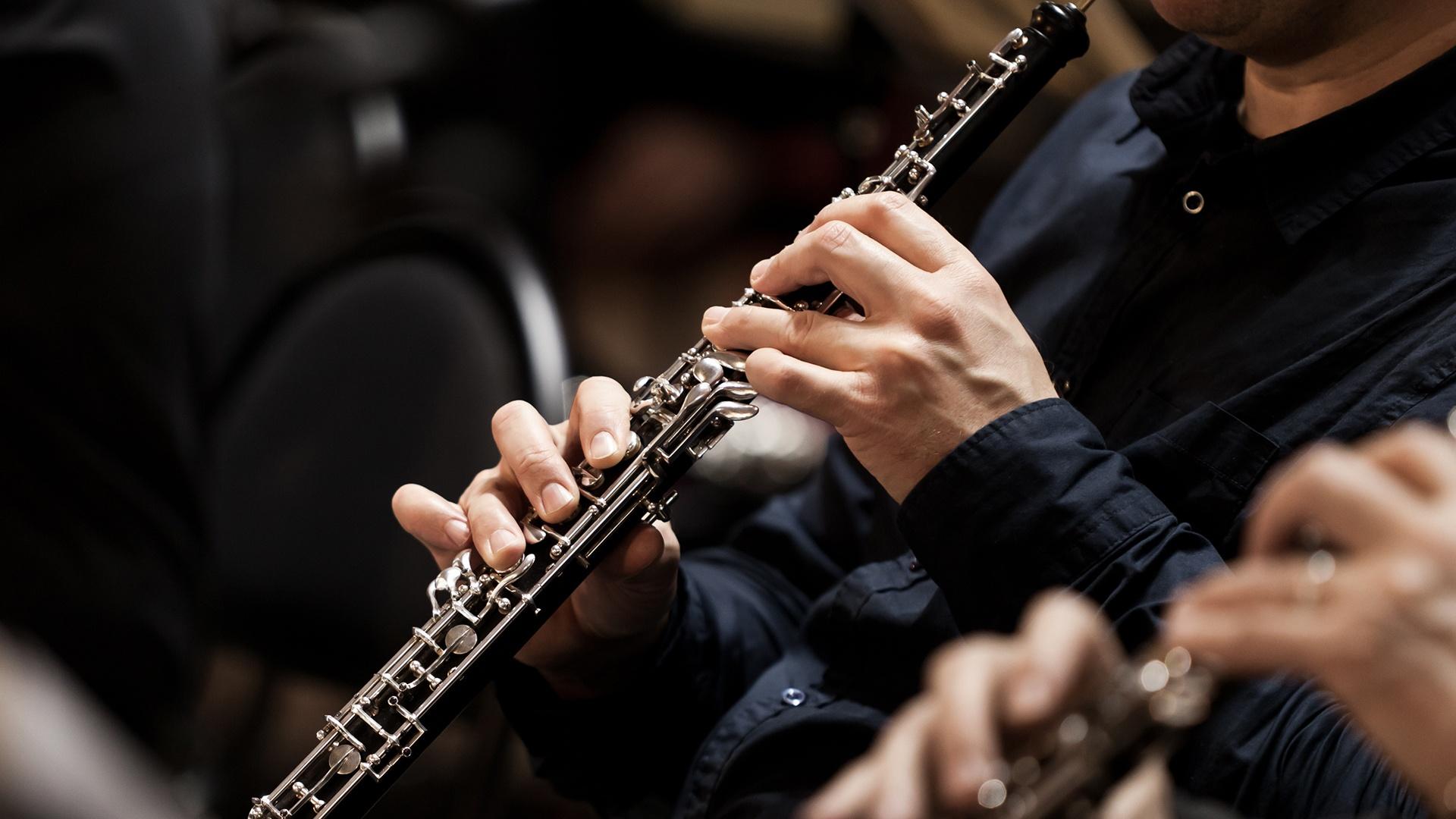 Meet the Woodwind Family: Interactive Lesson | Omaha Symphony Virtual ...