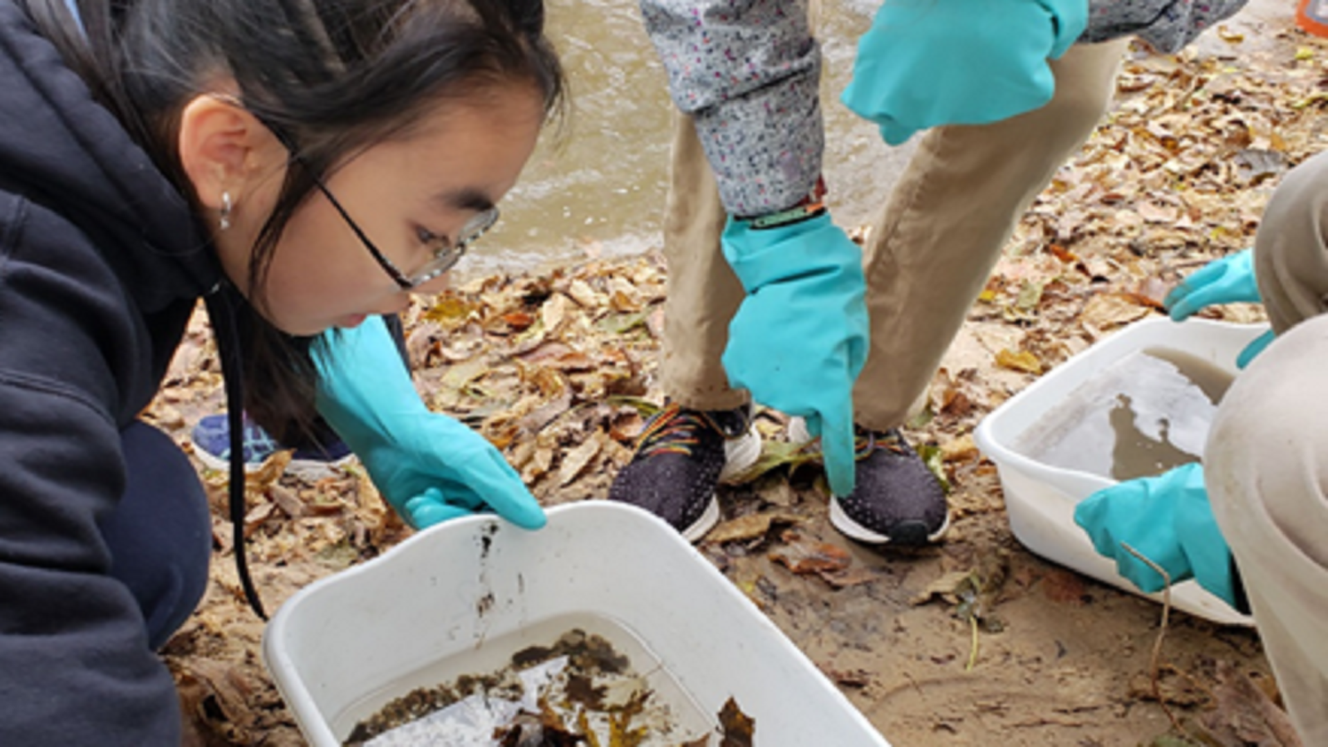 River Rewilding: Macro Identification | PBS LearningMedia