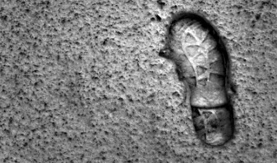 Three Advances in Forensics | PBS LearningMedia