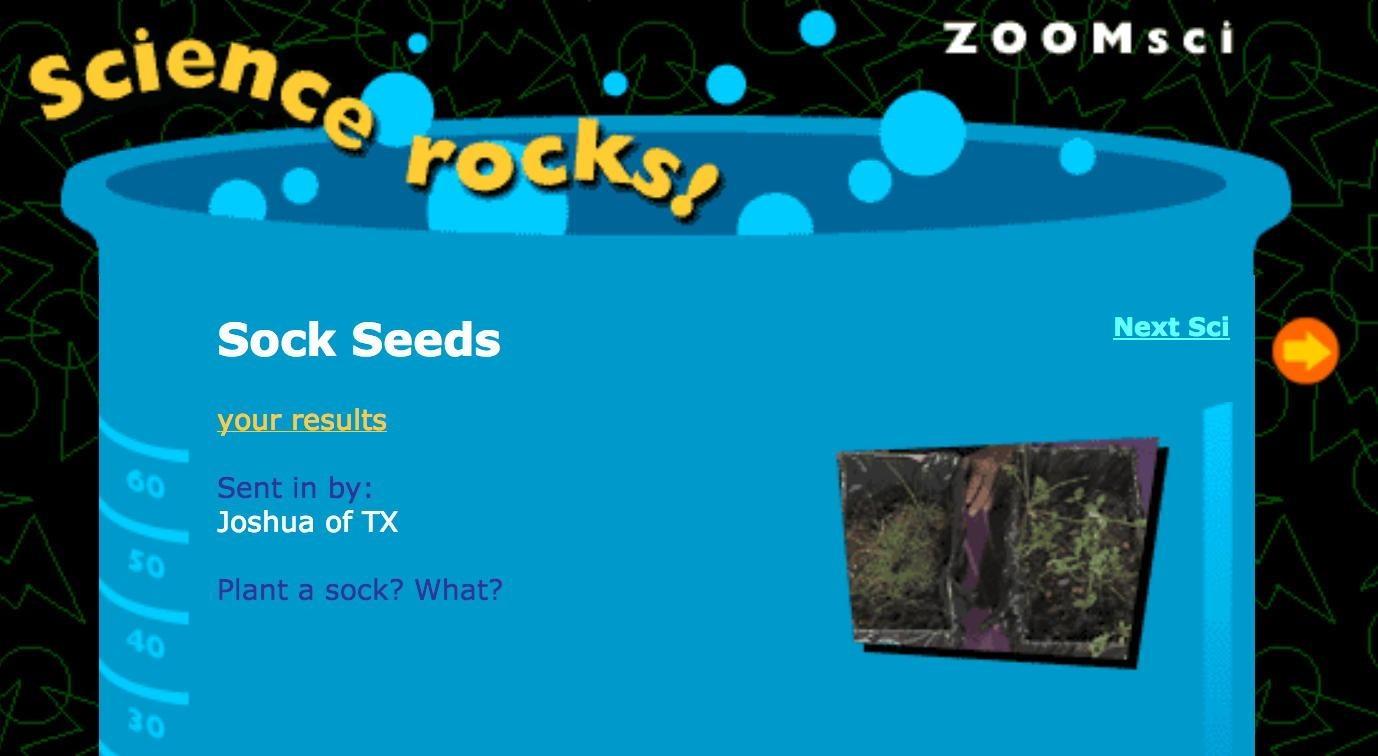 Sock Seeds | Grades K-2, 3-5, 6-8 Ecosystem Relationships Teaching and ...
