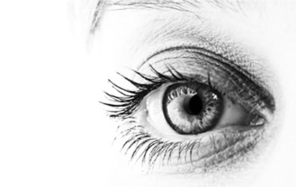 Change Blindness | NOVA scienceNOW | PBS LearningMedia