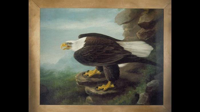Bald Eagle, 1828 | PBS LearningMedia