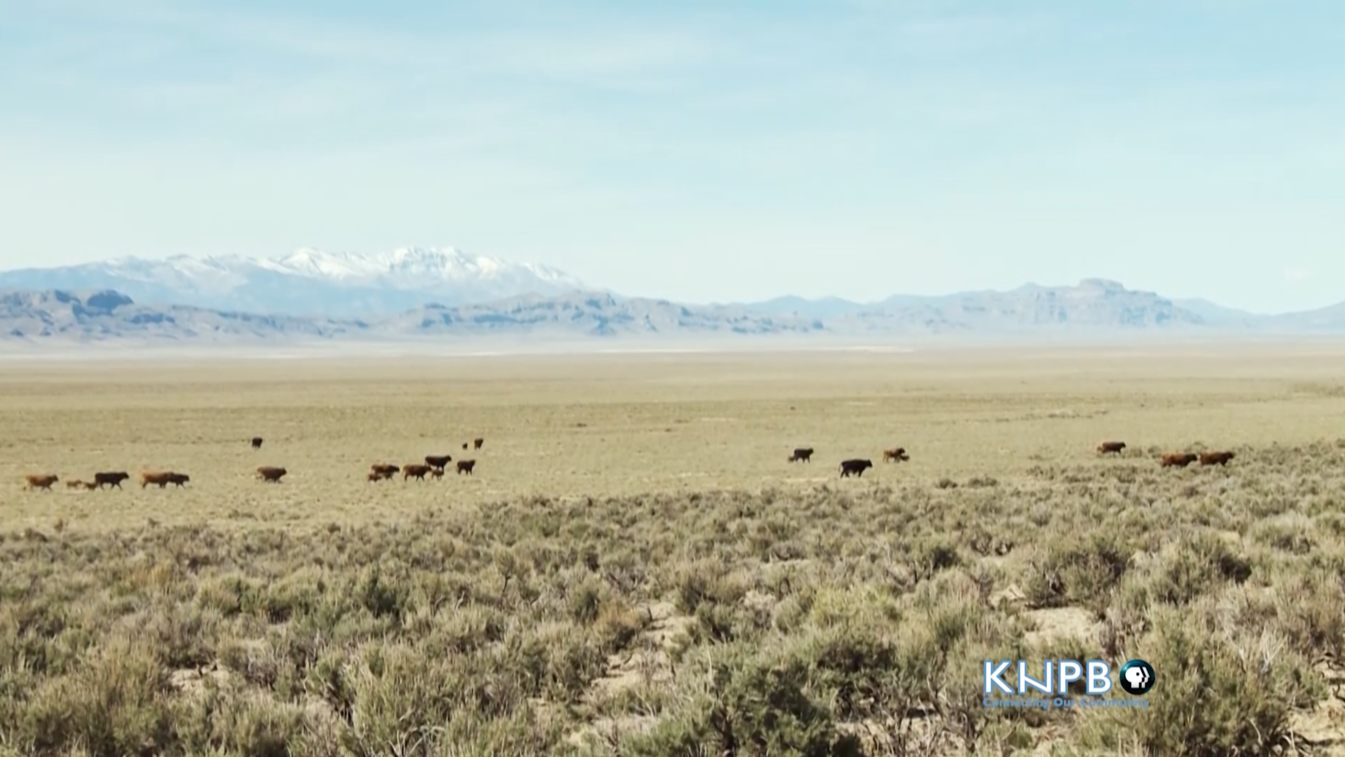 Basin and Range | Wild Nevada | PBS LearningMedia