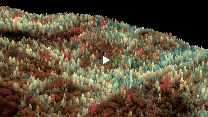 The Color of Drought | Science Visualization | Science | Video | PBS ...