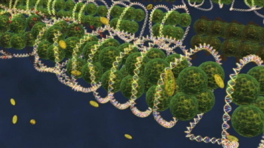 Epigenetics | PBS LearningMedia