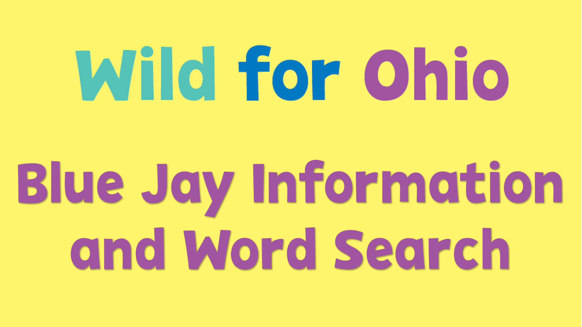 Blue Jay Information and Word Search: Wild for Ohio Camp | Ohio Learns ...