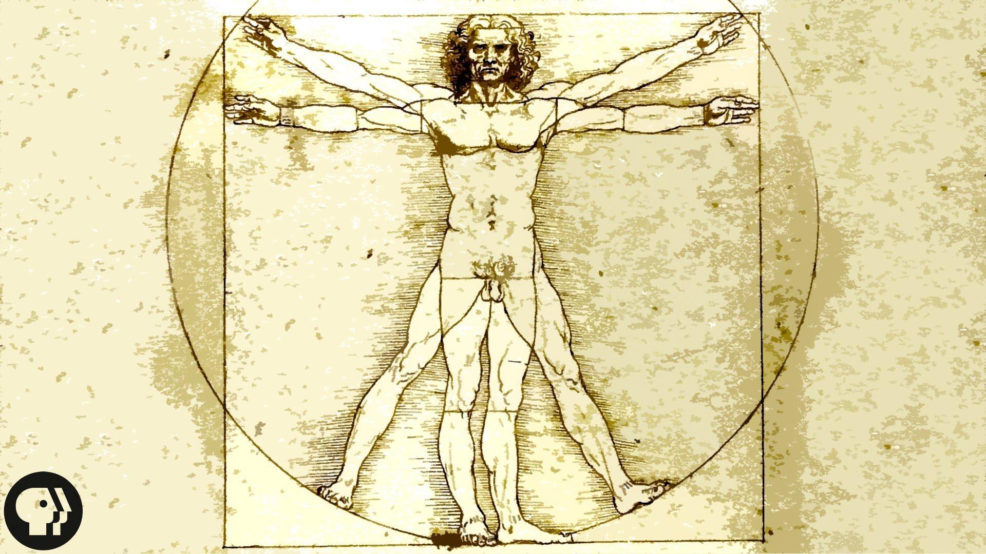 The Evolutionary Advantages of Art | Braincraft | PBS LearningMedia