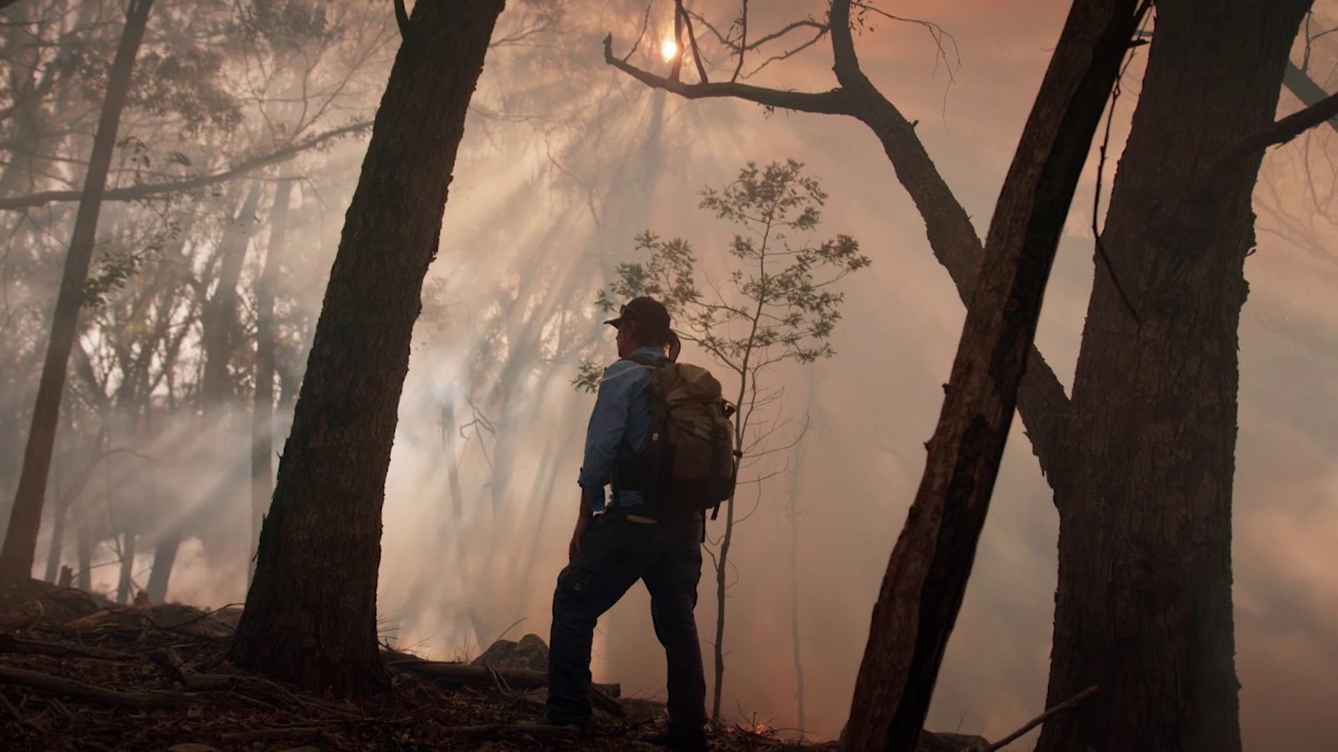 Rethinking Response | Australian Bushfire Rescue | PBS LearningMedia