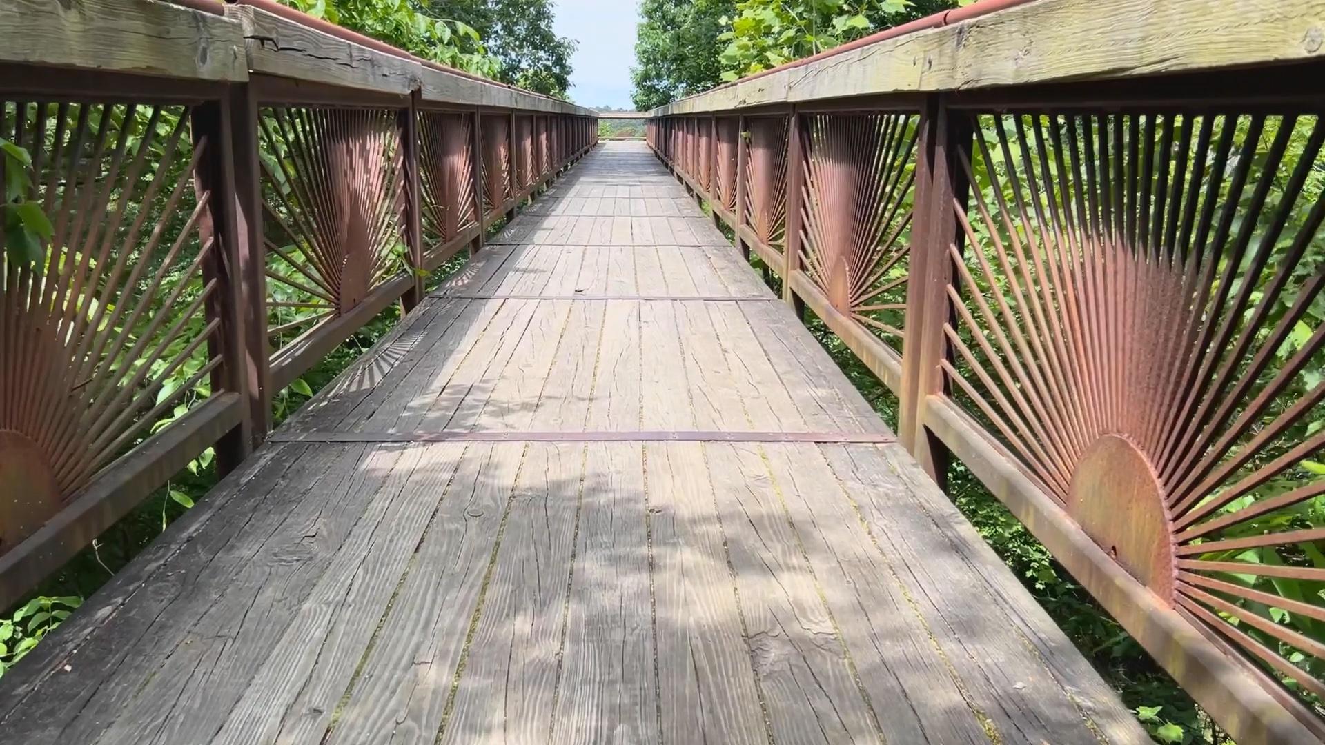 Canopy Tree Walk: Nature Meets Engineering | Outdoor Art | PBS ...