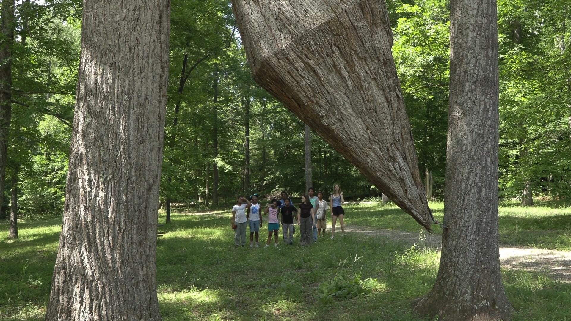 Chrysalis: A Giant Lesson on Metamorphosis | Outdoor Art | PBS ...