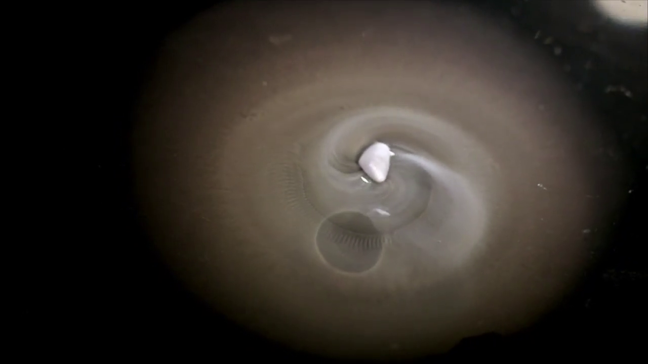 Sublimation of Comets | Comet Encounter | PBS LearningMedia