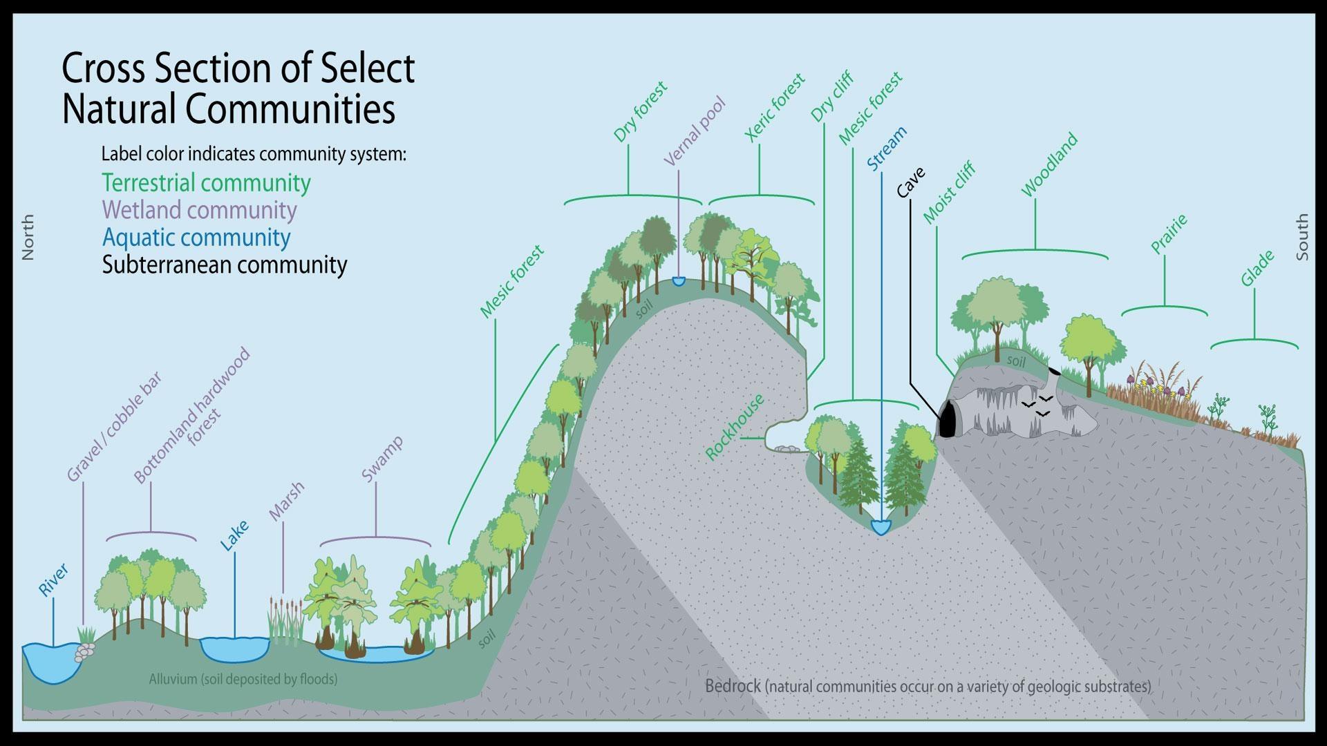 Select Natural Communities | PBS LearningMedia