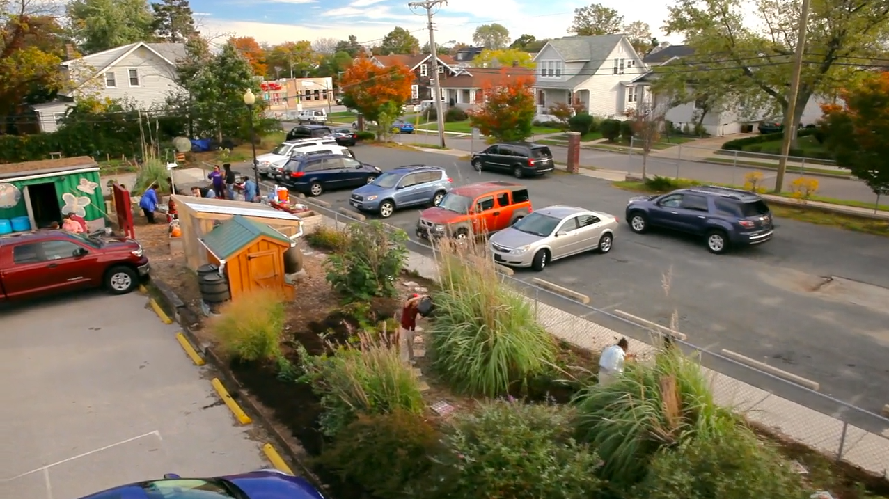 Community: Video | Nature Lab | PBS LearningMedia