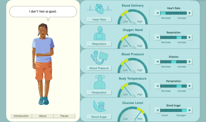 Human Body Regulation | Science, Health and Physical Education | Lesson ...