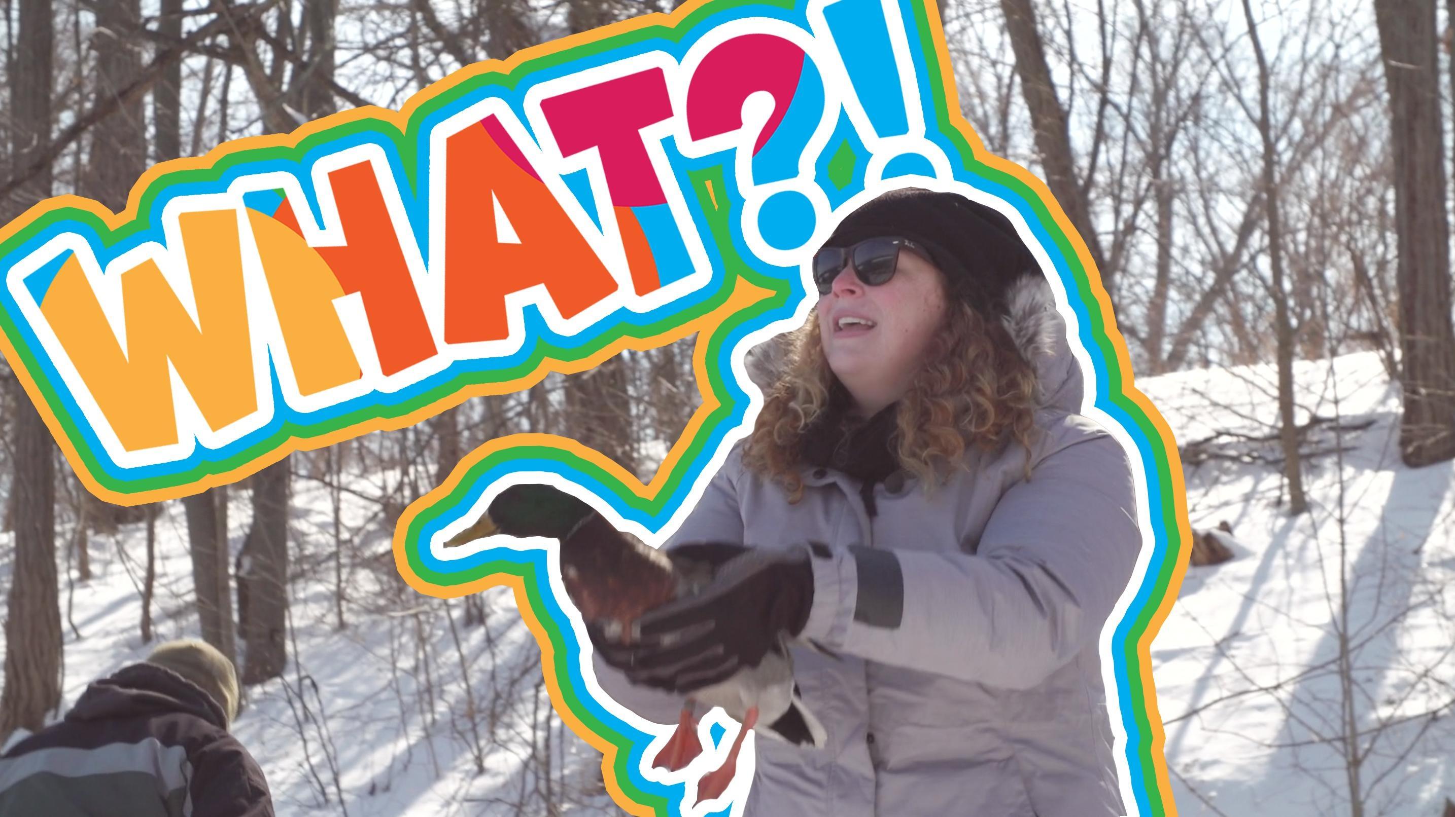 The Wildlife Technician | I Can Be What?! | PBS LearningMedia