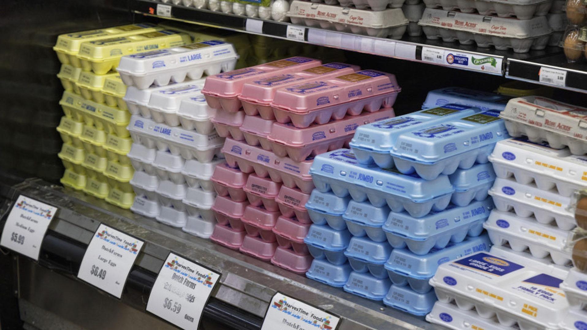 What Is Eggflation? | PBS NewsHour | PBS LearningMedia