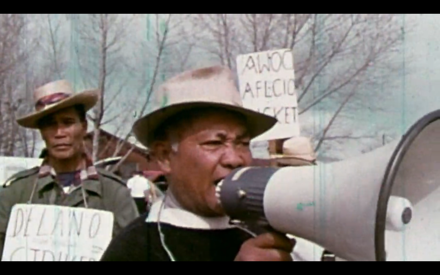 Filipino American Farmworkers Fight for Their Rights | Asian Americans ...