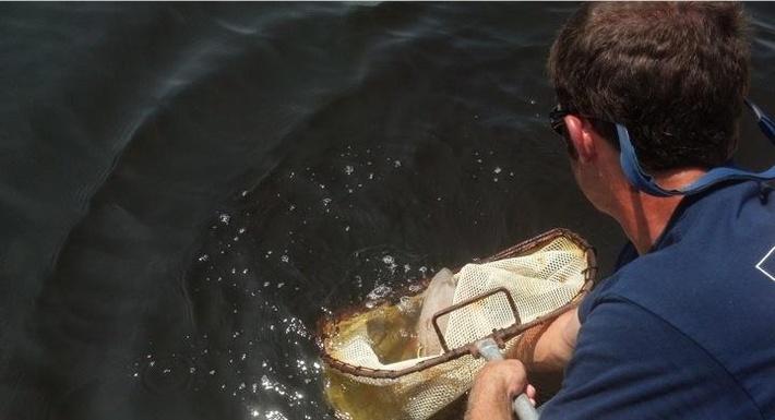 Community Ecology I: Feel the Love | Crash Course Ecology | Science ...