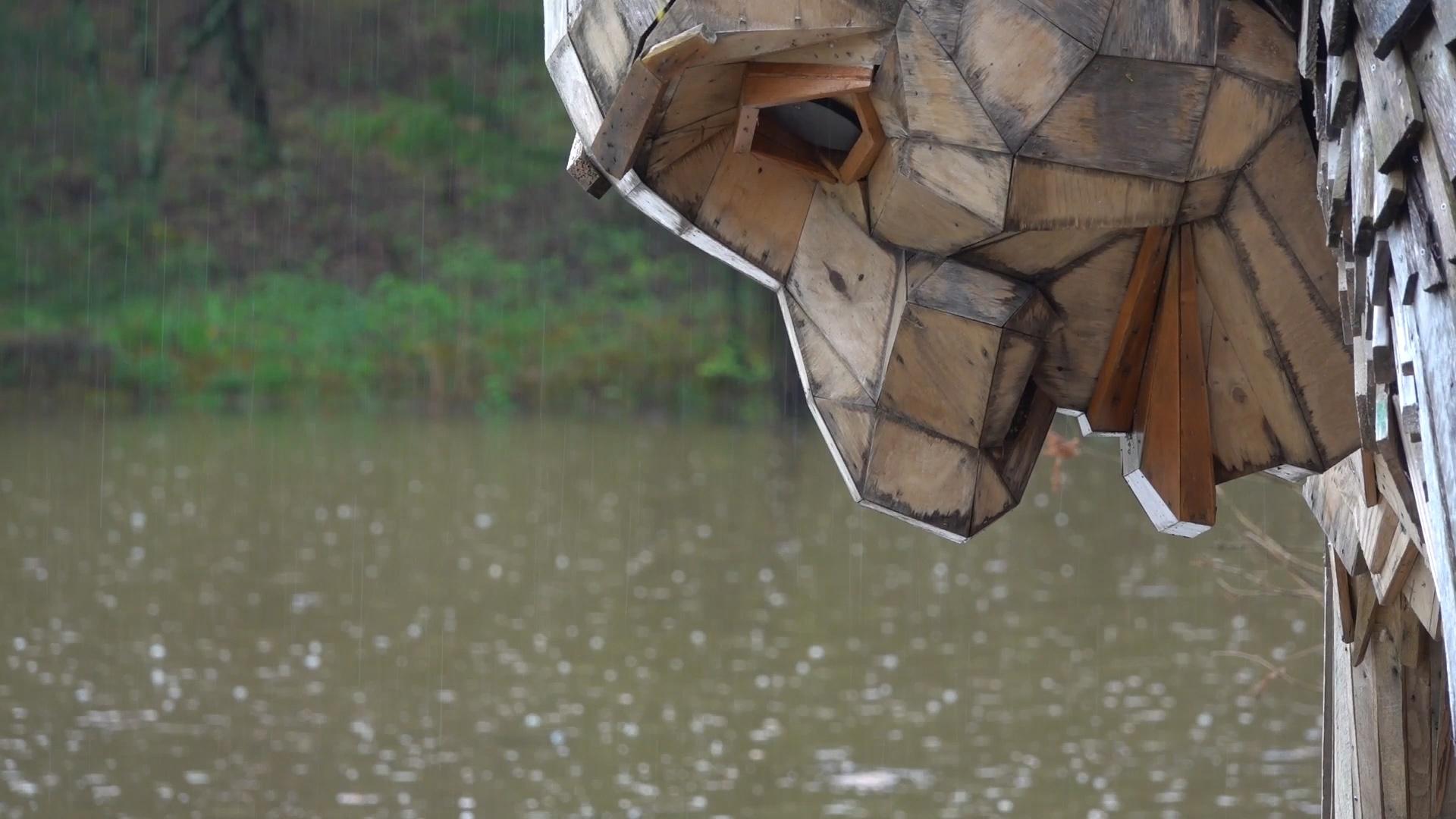 Forest Giants: Sculptures Made to Decay | Outdoor Art | PBS LearningMedia