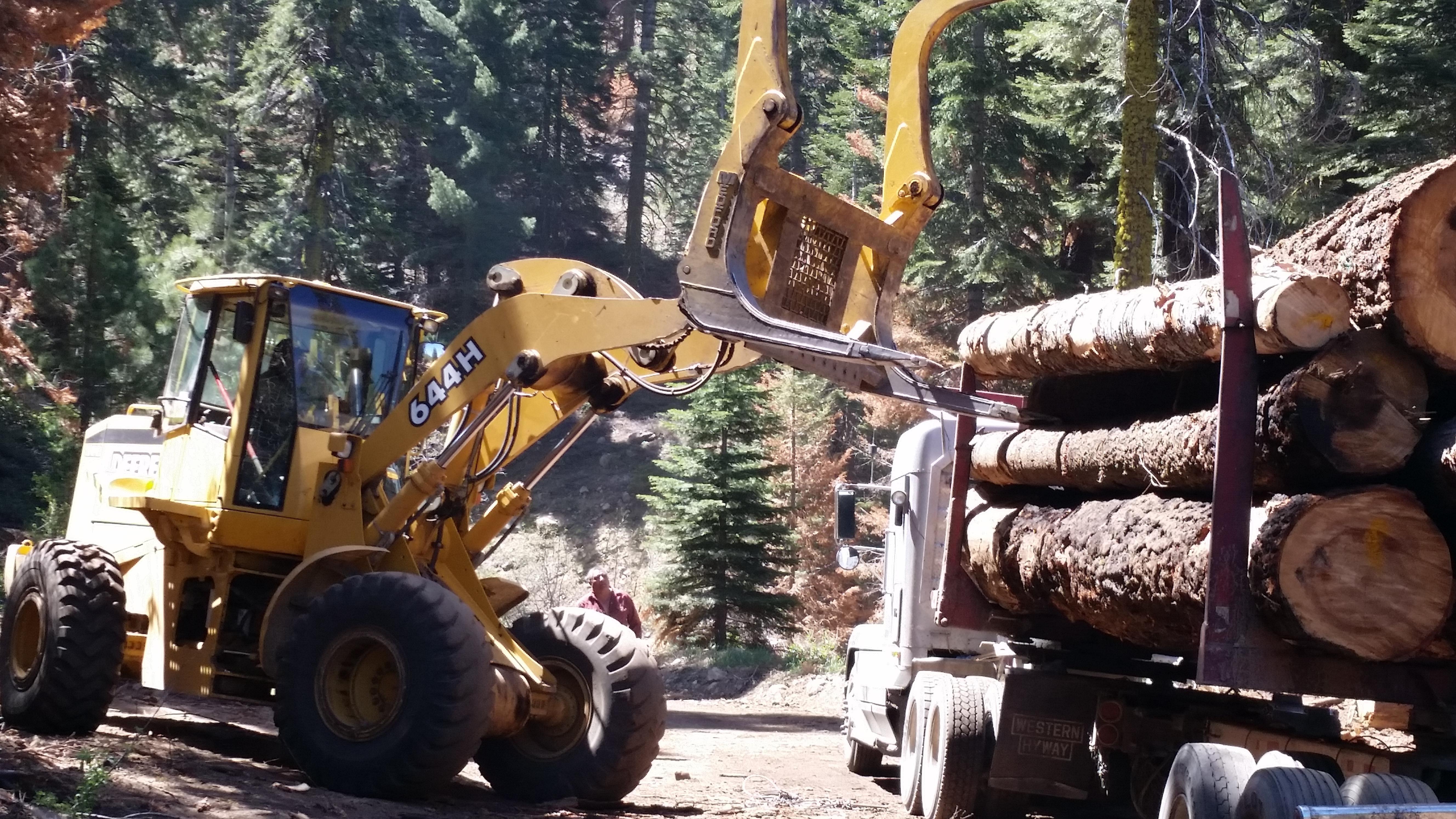 Forestry | Valley's Gold | PBS LearningMedia