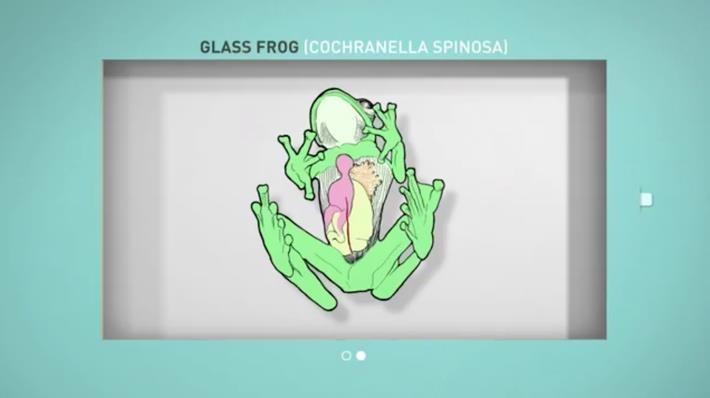 Sound Waves and Music | Lesson Plan | PBS LearningMedia