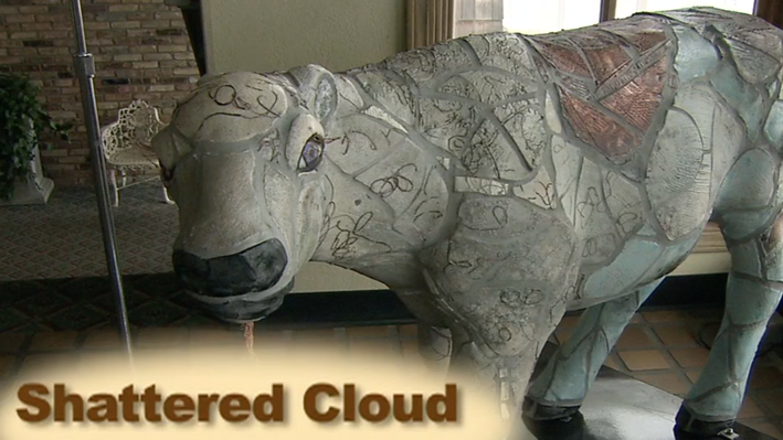 Bison Roadblock | Wild Kratts | Science | Video | PBS LearningMedia