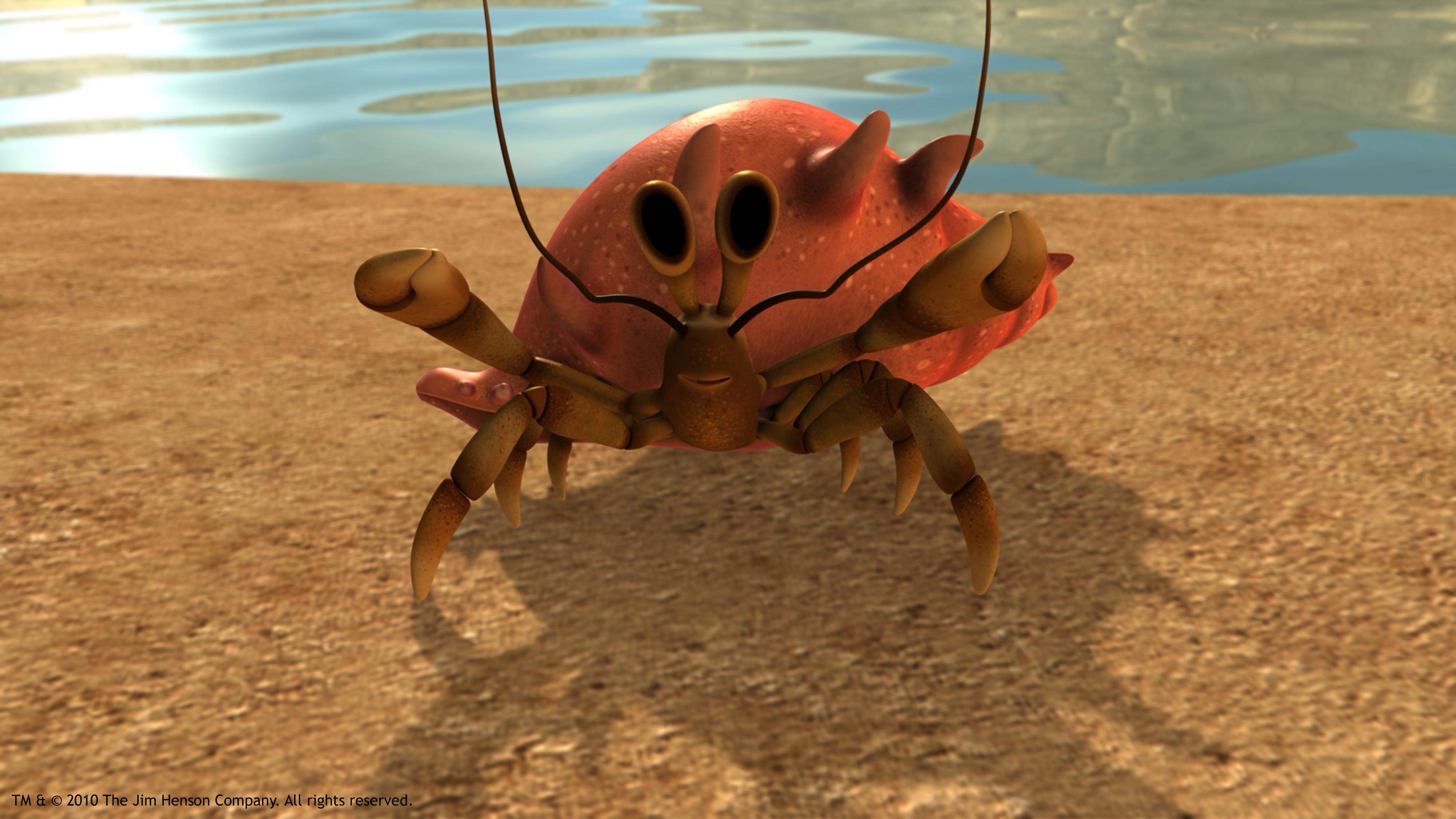 Hermit Crabs | Dinosaur Train | PBS LearningMedia