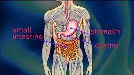 Body Waste | Science Trek | PBS LearningMedia