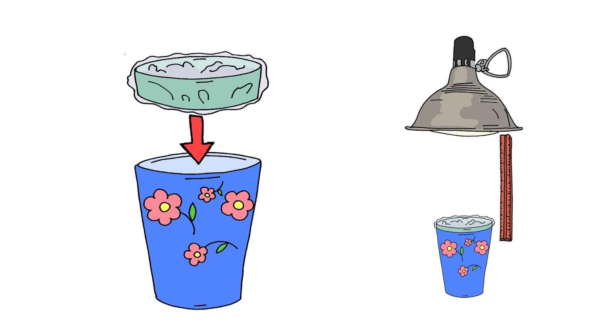 Insulation Station: SciGirls | Activity | PBS LearningMedia