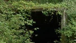 The Geology of Coal | PBS LearningMedia