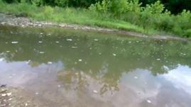 Stream Restoration | PBS LearningMedia