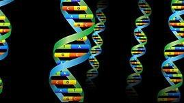 Decoding Synthetic Biology | QUEST | PBS LearningMedia