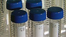 The Real C.S.I. | PBS LearningMedia