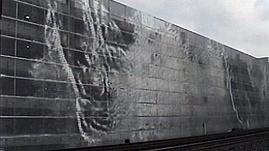 Invisible Forces: Ned Kahn | PBS LearningMedia