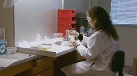 Forensics Identification | PBS LearningMedia