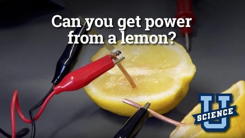 Can You Get Power from a Lemon? | Science-U | PBS LearningMedia
