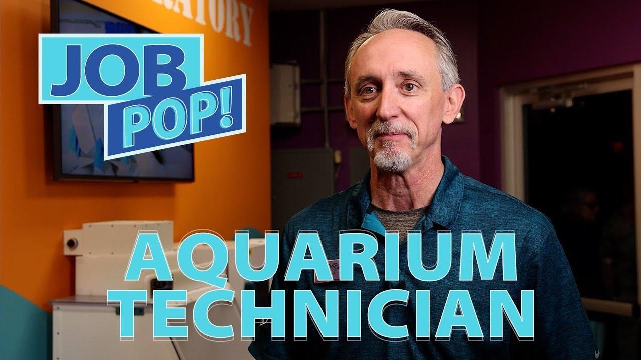 Aquarium Technician | Job Pop! | Grades K-2, 3-5 Career Requirements ...