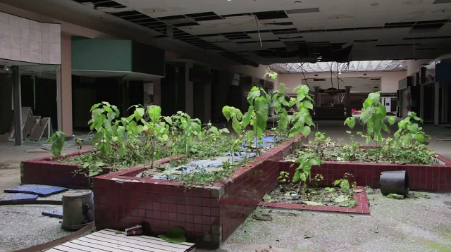 Why Malls Across America Are Dying | PBS LearningMedia