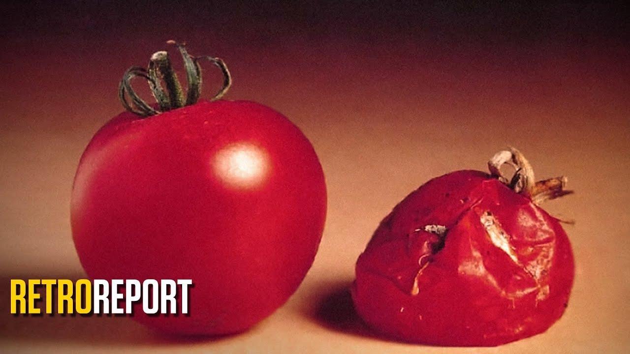 Genetically Modified Food | Retro Report | PBS LearningMedia