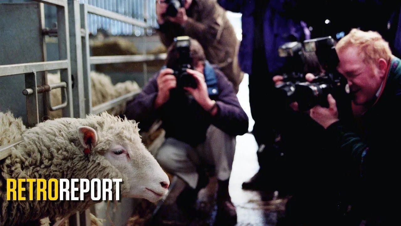 Biology: Dolly, the Cloned Sheep | Retro Report | PBS LearningMedia