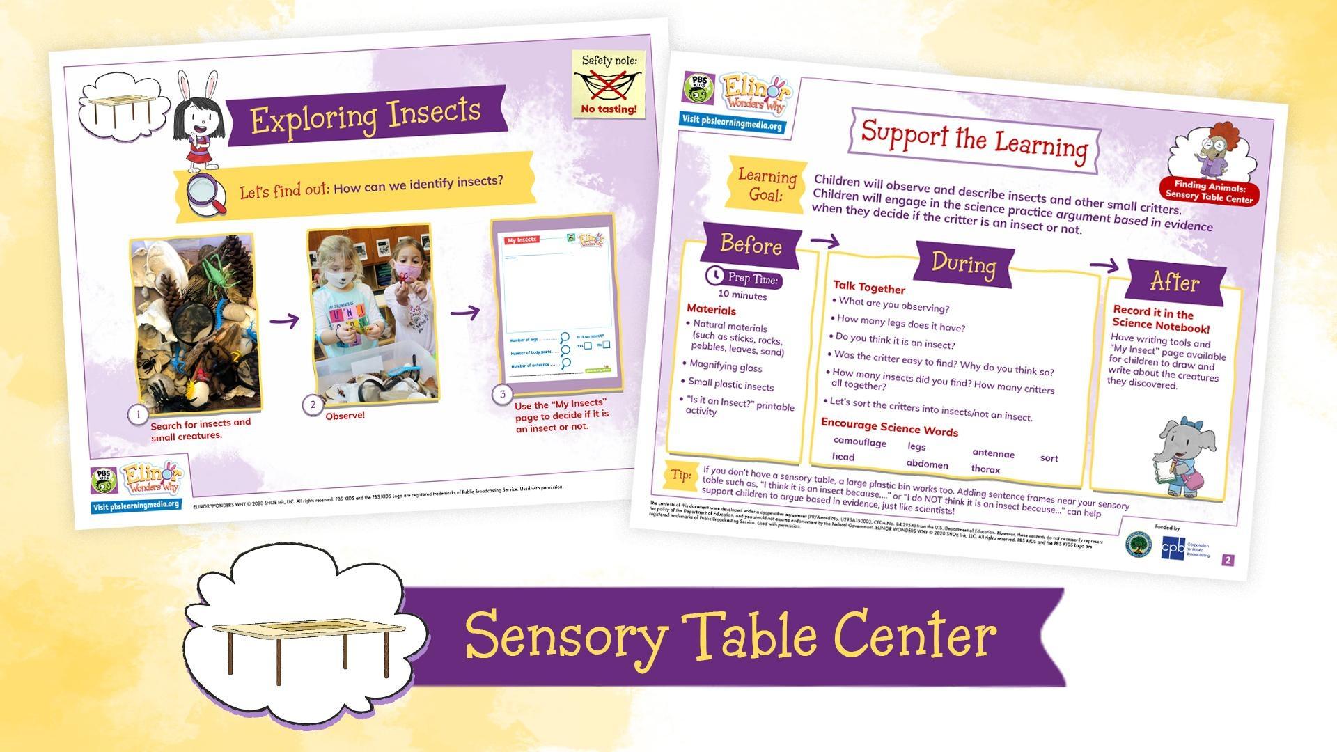 Center Card | Exploring Insects | PBS LearningMedia