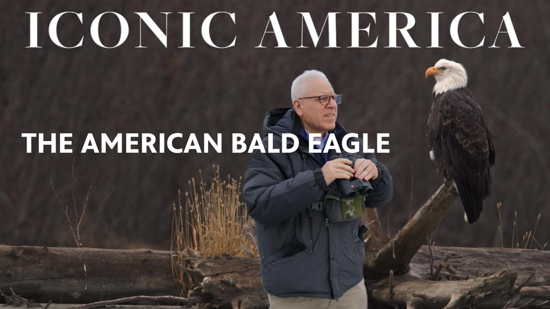 The American Bald Eagle: Full Episode | Iconic America | PBS LearningMedia