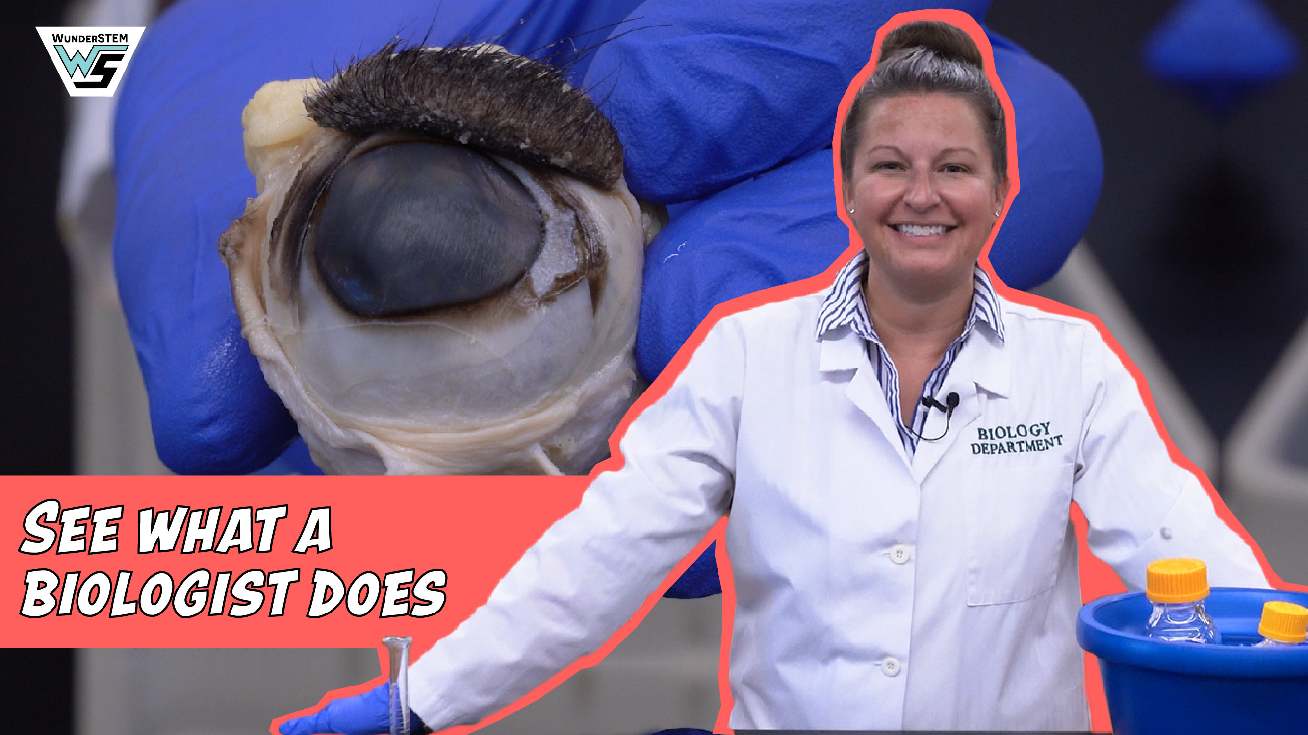 Biologist: Dr. Sarah Finch | WunderSTEM | Grades 3-5, 6-8, 9-12 Science ...