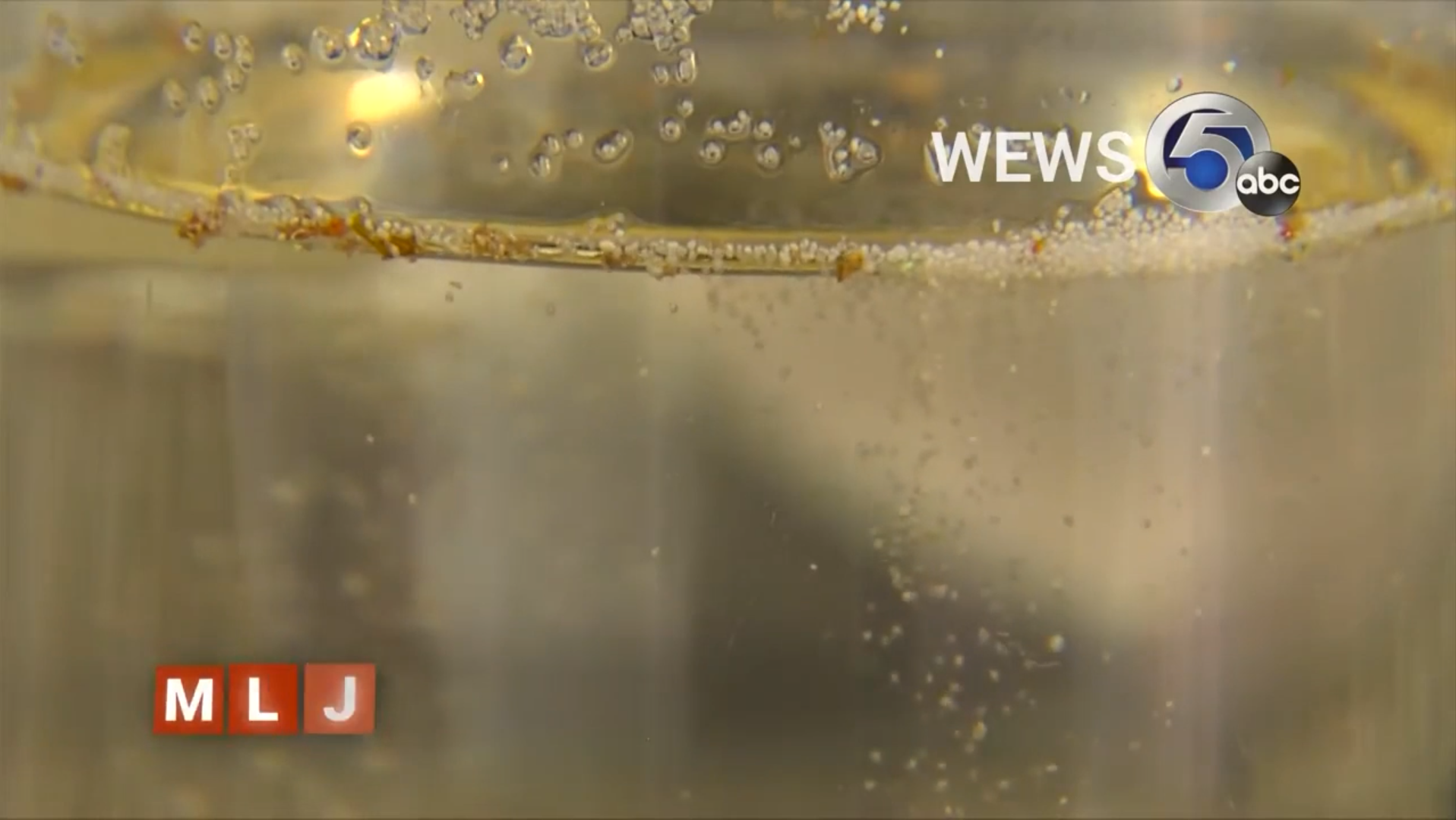 Microplastics: Little Plastic, Big Problems | Mountain Lake Journal ...