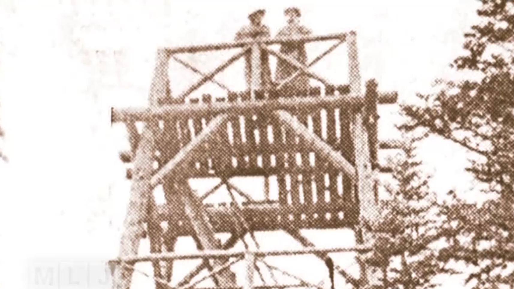 The Legacy of Fire Towers in Forest Protection and Preservation ...