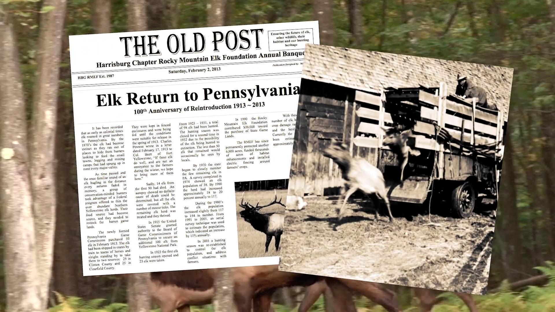 History of Elk in Pennsylvania | Elk Country Virtual Field Trip | PBS ...