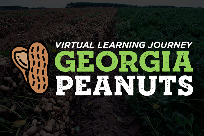 Georgia Peanuts | Virtual Learning Journey | PBS LearningMedia