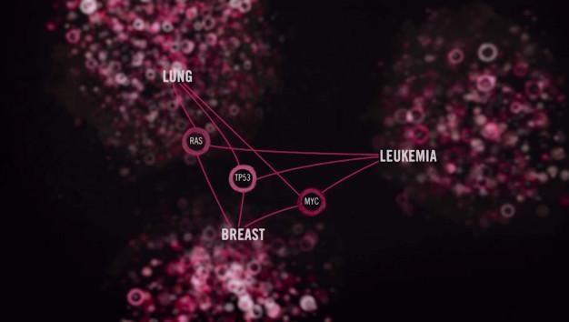 Causes of cancer | Cancer: The Emperor of All Maladies | PBS LearningMedia