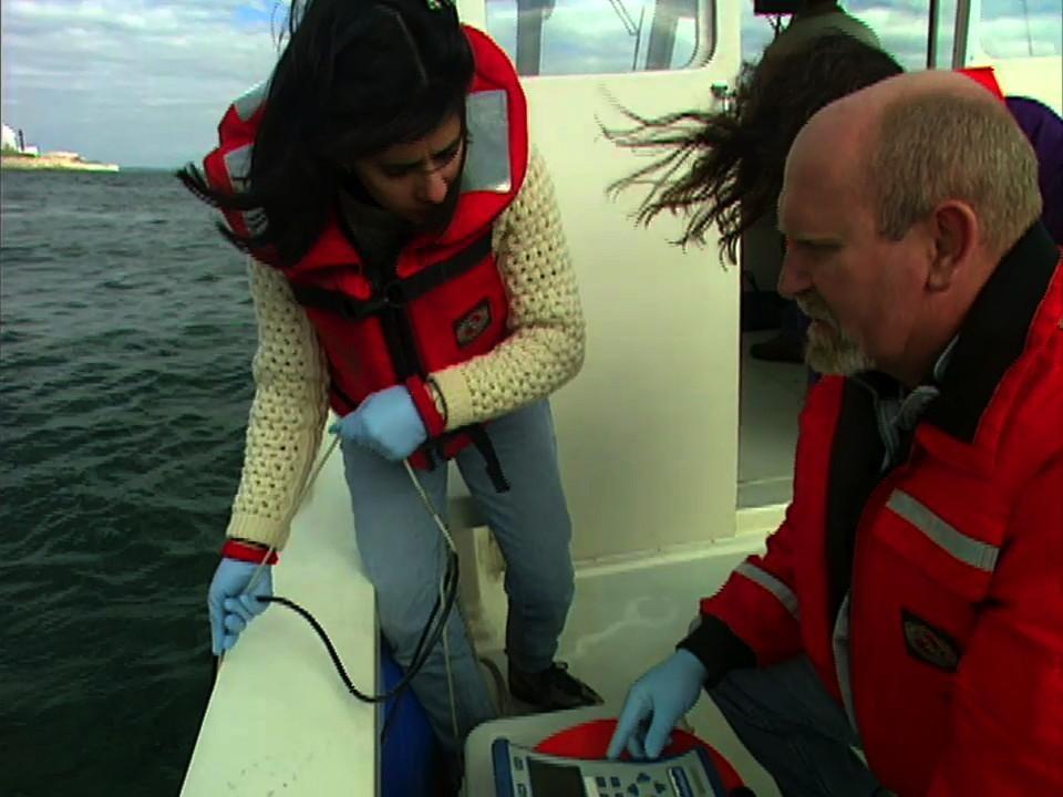 Variation About the Mean: The Boston Harbor Project | PBS LearningMedia